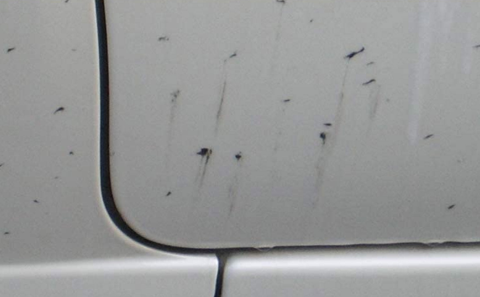 SENSHA | Pitch Clean - car tar and pitch removal